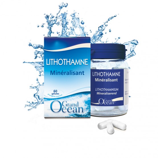 Le Lithothamne : origine, propriétés et bienfaits | LABORATOIRES YVES ...